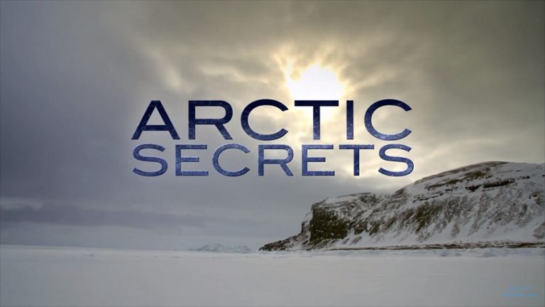 Arctic Secrets - Mackenzie Delta - Wildlife - ClumpHD